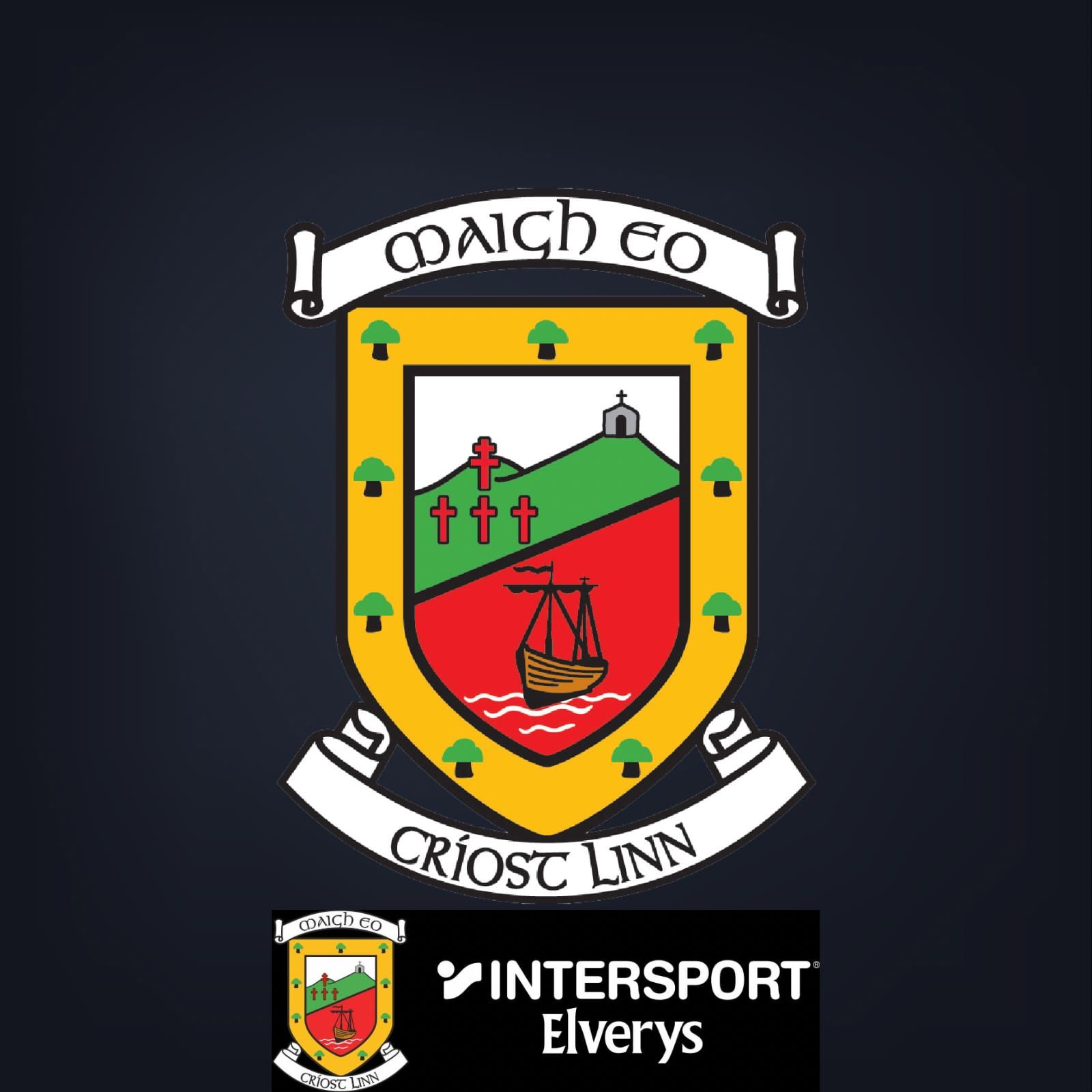 Mayo GAA 2024 Inter County Fixtures – Mayo GAA